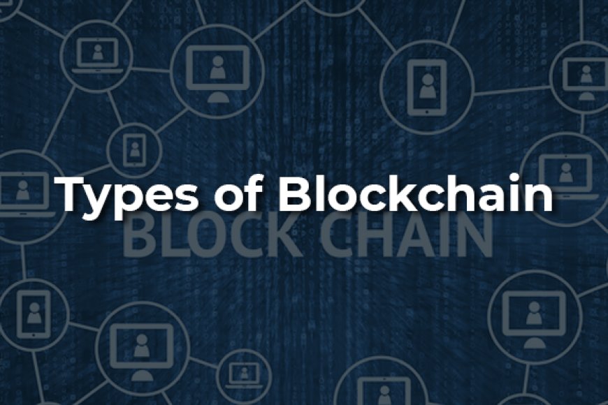 The Various Types of Blockchain: A Comprehensive Guide - SKILLFLOOR