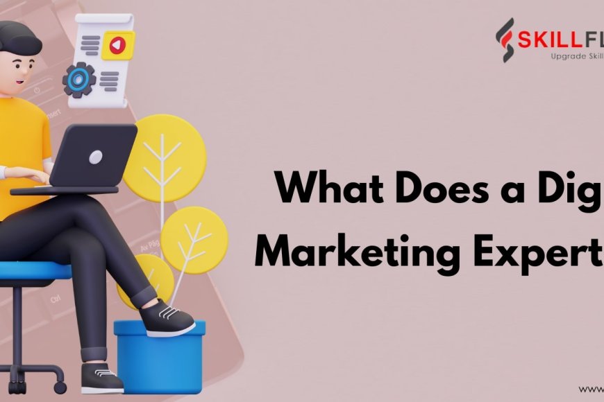 What Does a Digital Marketing Expert Do - Skillfloor
